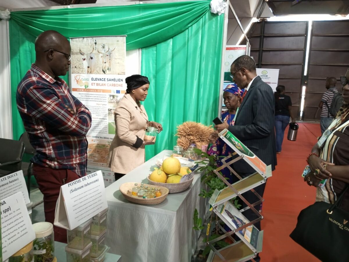 Foire internationale de Dakar (FIDAK) : l’ISRA a brillé par la ...