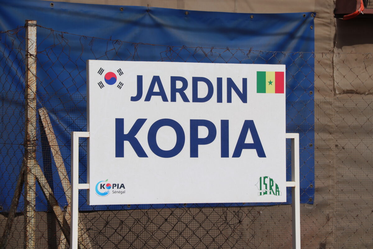 L'ISRA recrute pour "KOPIA Center Senegal" un gestionnaire de jardin ...