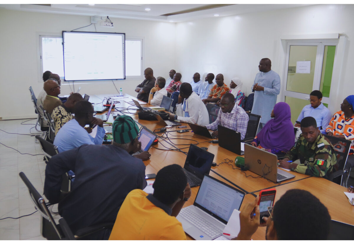 Pour une foresterie durable et résiliente au Sénégal: Le CNRF révise ...