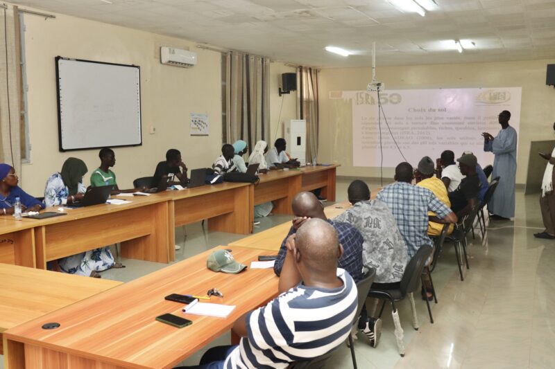 Production de semences de riz pluvial : l’ISRA et le PAIS unissent ...