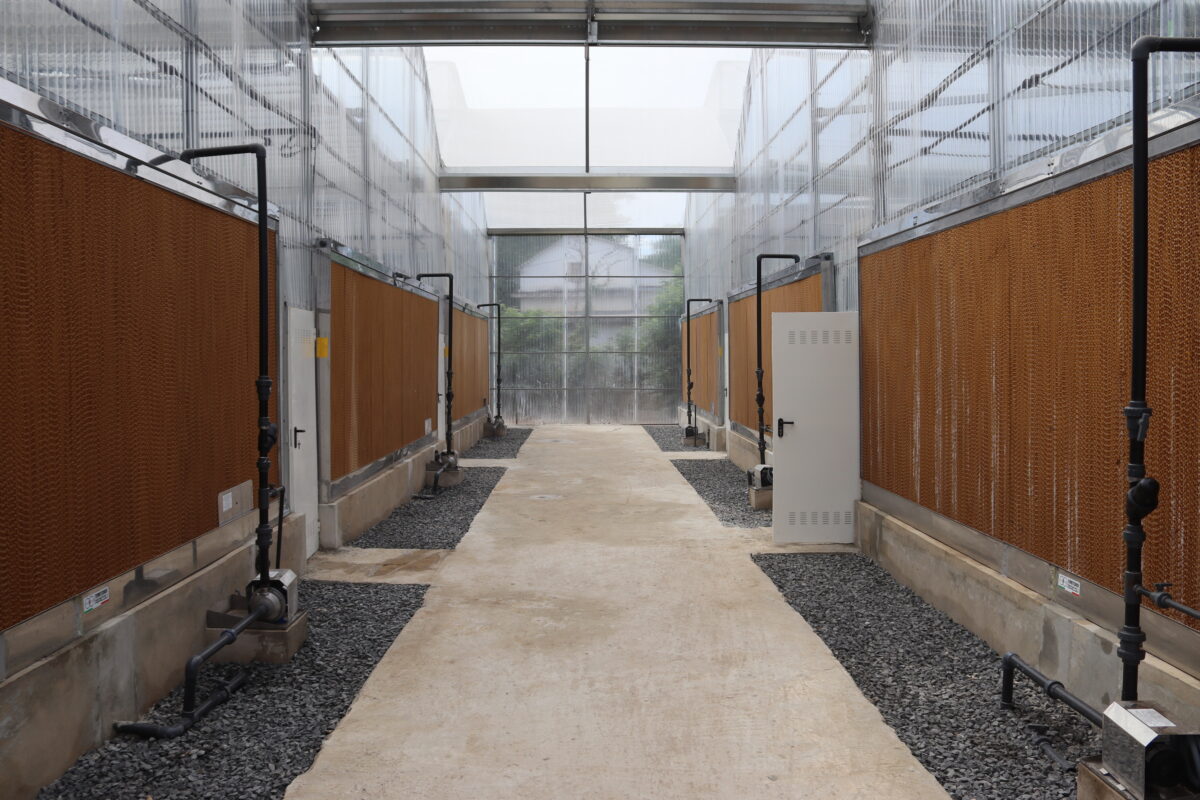 Inauguration d’une serre de dernière génération au CNRA de Bambey : une ...